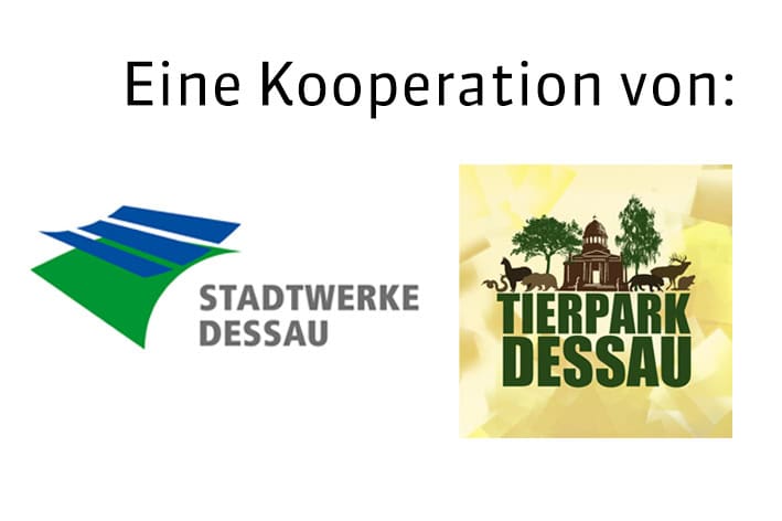 ÖPNV: Tickets für Bus & Straßenbahn | DVV Dessau